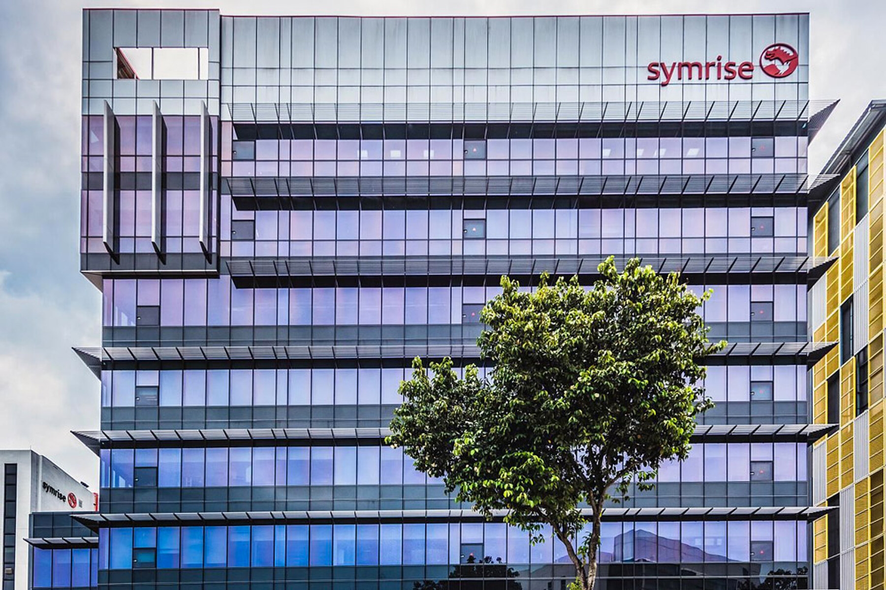 Symrise expands naturalness innovation capabilities in Singapore - Symrise
