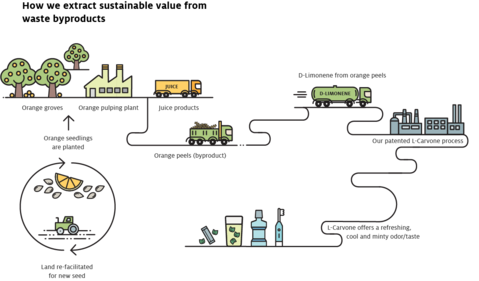 Green chemistry - Power and the possibilities - Symrise