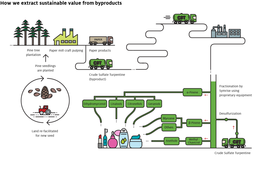 Green chemistry - Power and the possibilities - Symrise